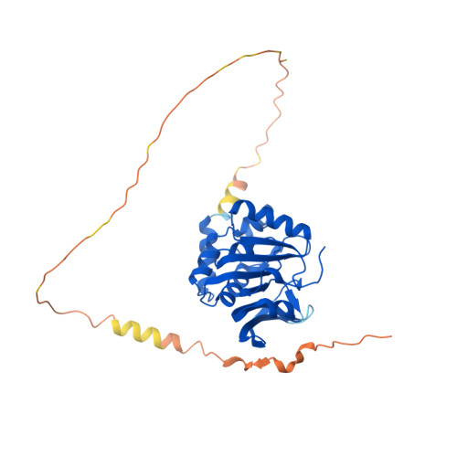 RCSB PDB - AF_AFQ3JRP1F1: Computed structure model of Protein-L ...