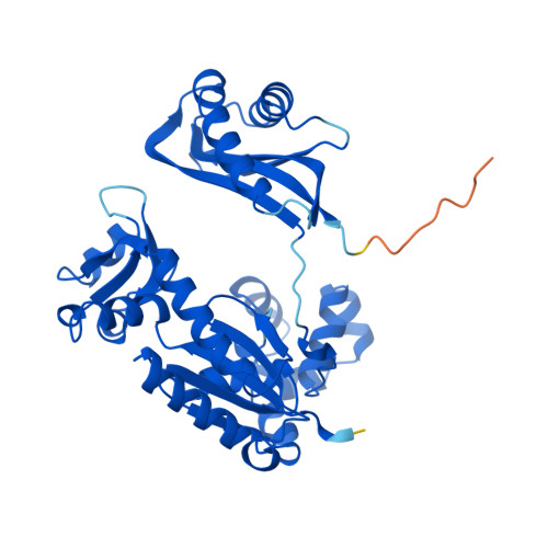 RCSB PDB - AF_AFQ48FB2F1: Computed structure model of DNA polymerase IV