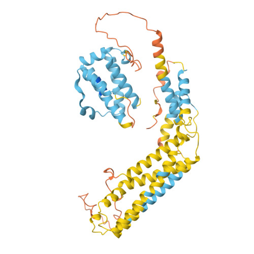 RCSB PDB - AF_AFQ49415F1: Computed structure model of Uncharacterized protein MG314