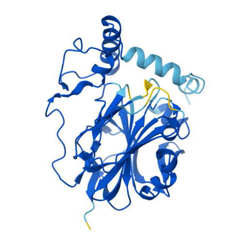 RCSB PDB - AF_AFQ4UWE4F1: Computed structure model of ...