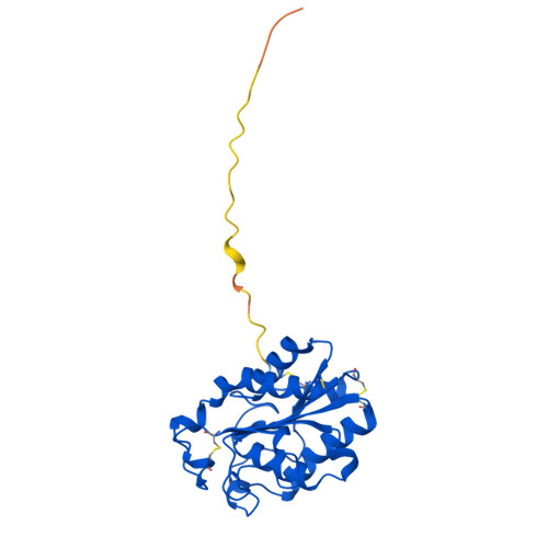 RCSB PDB - AF_AFQ4W9Z4F1: Computed structure model of Probable cutinase 3