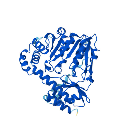 RCSB PDB - AF_AFQ58365F1: Computed structure model of Histidinol ...