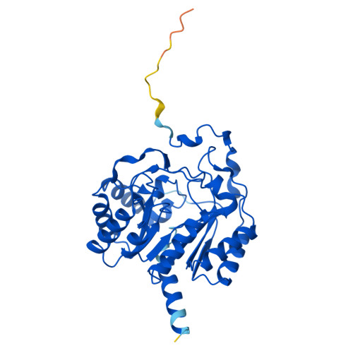 RCSB PDB - AF_AFQ5FNM1F1: Computed structure model of Lipoyl synthase