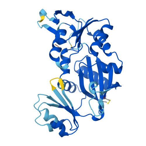RCSB PDB - AF_AFQ5PGM5F1: Computed structure model of Ribosomal protein ...