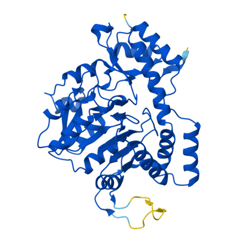 RCSB PDB - AF_AFQ5PNA4F1: Computed structure model of UDP-4-amino-4 ...