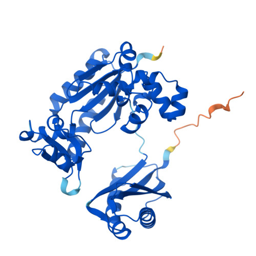 RCSB PDB - AF_AFQ5X7J1F1: Computed structure model of DNA polymerase IV