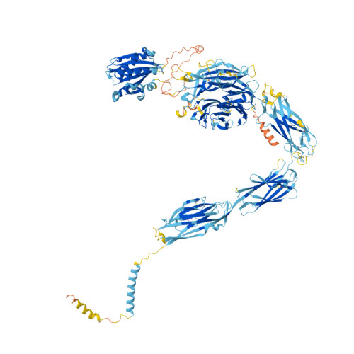 RCSB PDB - AF_AFQ60677F1: Computed structure model of Integrin alpha-E