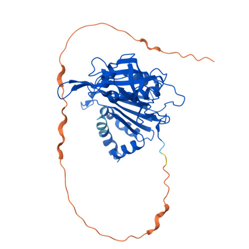 RCSB PDB - AF_AFQ6ZFJ3F1: Computed structure model of Ferredoxin--NADP ...