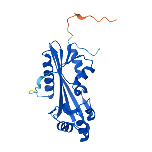 RCSB PDB - AF_AFQ72ZX1F1: Computed structure model of dTTP/UTP ...