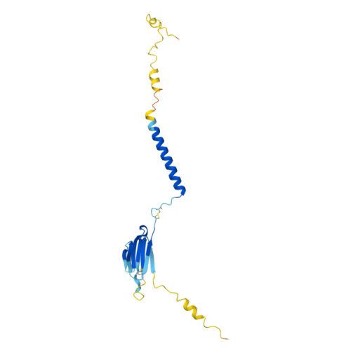 RCSB PDB - AF_AFQ764N2F1: Computed structure model of T-cell surface ...