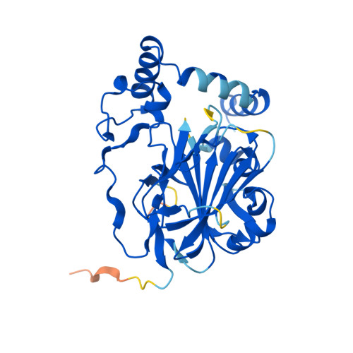 RCSB PDB - AF_AFQ7WIF7F1: Computed structure model of ...