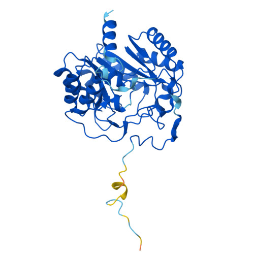 RCSB PDB - AF_AFQ89NW6F1: Computed structure model of Lipoyl synthase 2