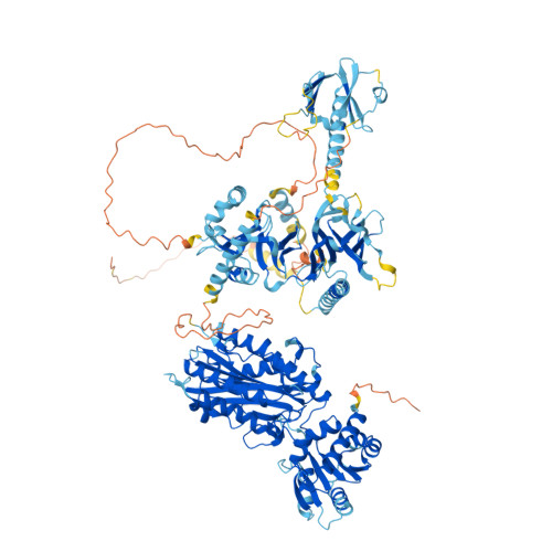 RCSB PDB - AF_AFQ8H6B1F1: Computed structure model of FACT complex ...