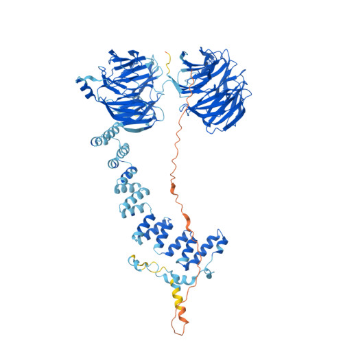 RCSB PDB - AF_AFQ8L828F1: Computed structure model of Coatomer subunit ...