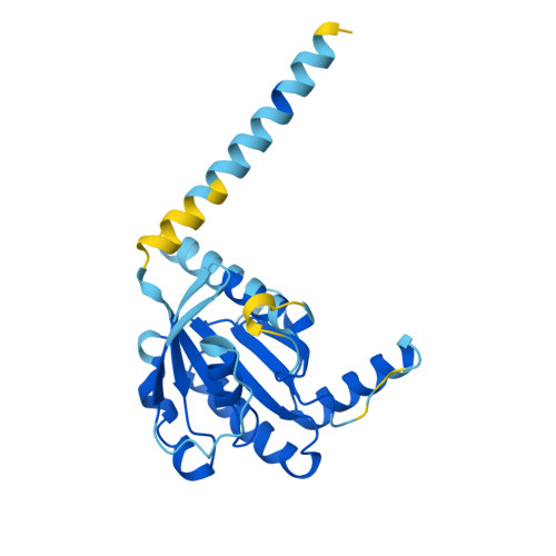 RCSB PDB - AF_AFQ8SS09F1: Computed structure model of Small COPII coat ...