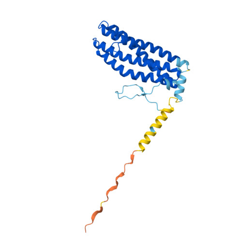 RCSB PDB - AF_AFQ8TAC9F1: Computed structure model of Secretory carrier ...