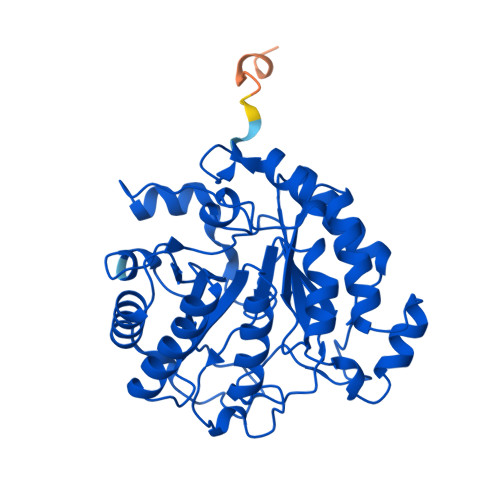 RCSB PDB - AF_AFQ8TQP9F1: Computed structure model of 7,8-didemethyl-8 ...