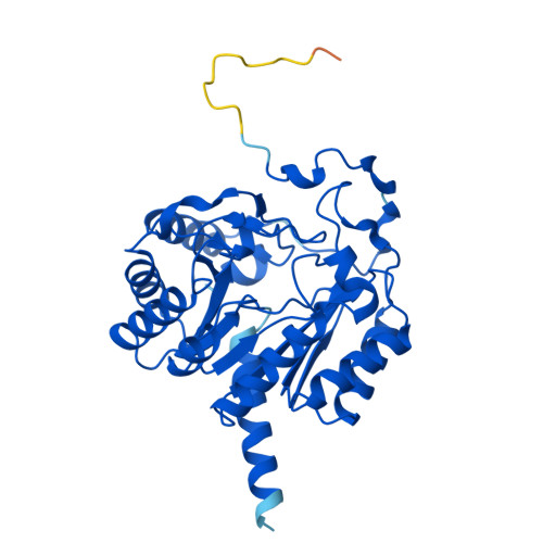 RCSB PDB - AF_AFQ8UFG1F1: Computed structure model of Lipoyl synthase