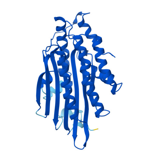 RCSB PDB - AF_AFQ8XBI4F1: Computed structure model of Oxygen-dependent ...