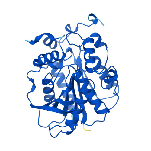 RCSB PDB - AF_AFQ8ZRA1F1: Computed structure model of Acetyl esterase