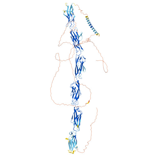 RCSB PDB - AF_AFQ91Y09F1: Computed structure model of Protocadherin ...