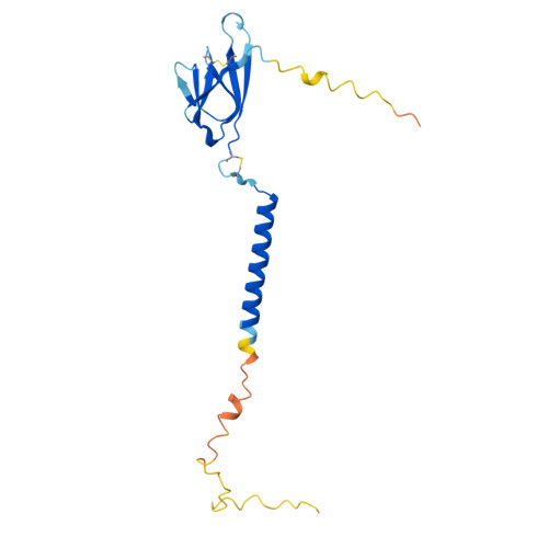 RCSB PDB - AF_AFQ95LI8F1: Computed structure model of T-cell surface ...