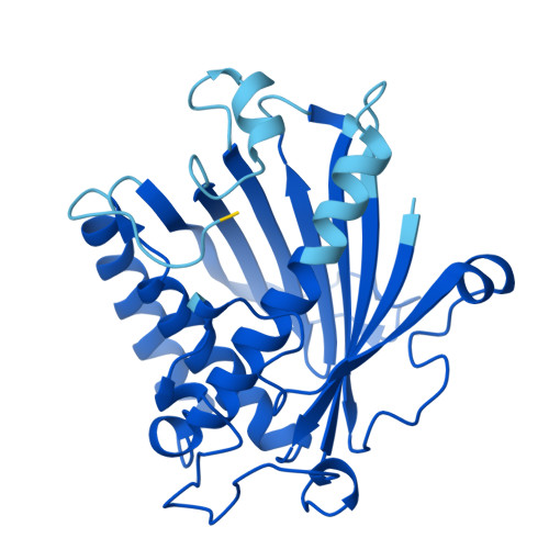 RCSB PDB - AF_AFQ965T2F1: Computed structure model of Uncharacterized protein