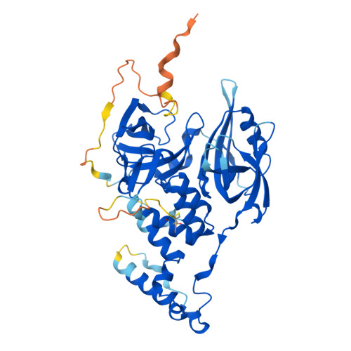 RCSB PDB - AF_AFQ96SW2F1: Computed structure model of Protein cereblon