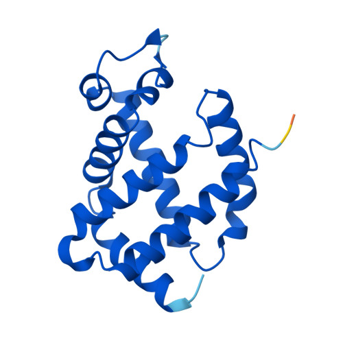 RCSB PDB - AF_AFQ9ER97F1: Computed structure model of Neuroglobin