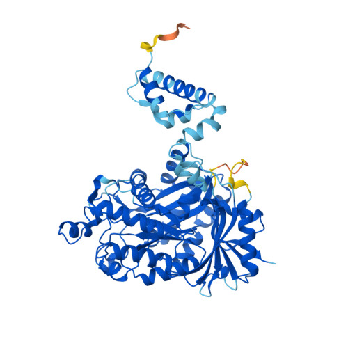 RCSB PDB - AF_AFQ9H9T3F1: Computed structure model of Elongator complex ...