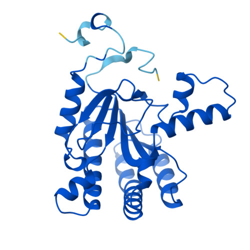 RCSB PDB - AF_AFQ9K1G6F1: Computed structure model of Isoprenyl transferase