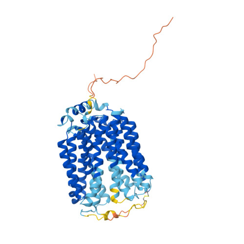 RCSB PDB - AF_AFQ9NRA2F1: Computed structure model of Sialin