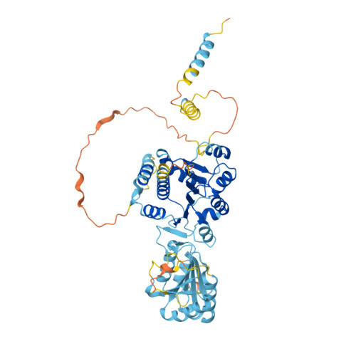 RCSB PDB - AF_AFQ9SIB5F1: Computed structure model of P-loop containing ...