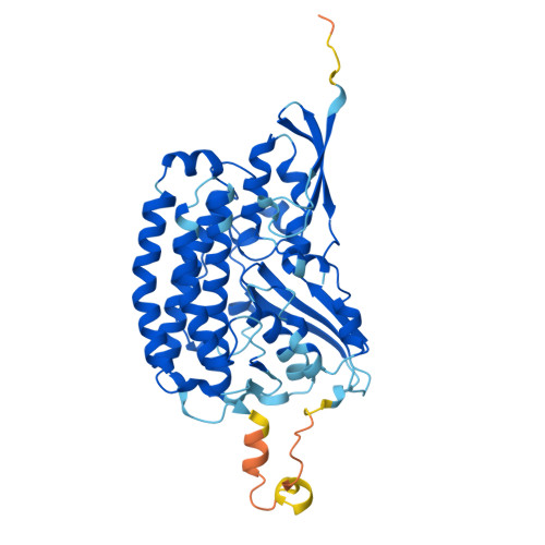 RCSB PDB - AF_AFQ9TKV6F1: Computed structure model of NAD(P)H-quinone ...