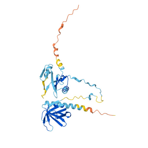 RCSB PDB - AF_AFQ9UN19F1: Computed structure model of Dual adapter for ...