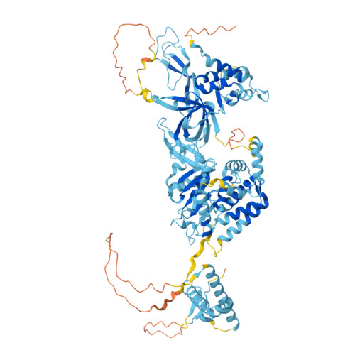 RCSB PDB - AF_AFQ9V461F1: Computed structure model of DNA replication ...