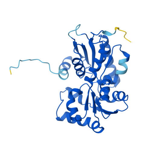 RCSB PDB - AF_AFQ9XDZ7F1: Computed structure model of Glutamate racemase