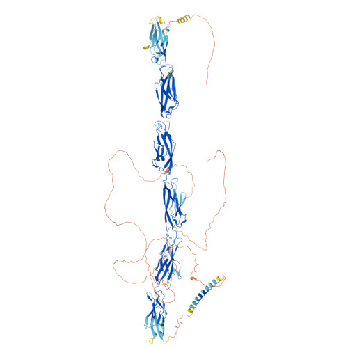 RCSB PDB - AF_AFQ9Y5I4F1: Computed structure model of Protocadherin ...