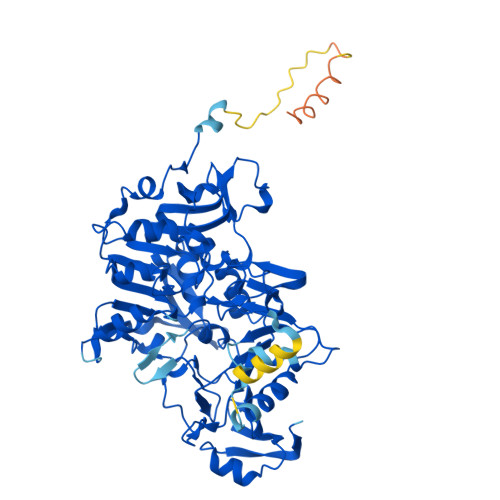 RCSB PDB - AF_AFU7PIL2F1: Computed structure model of Succinyl-CoA:3 ...