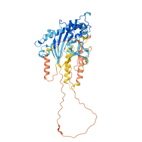 RCSB PDB - AF_AFU7PY73F1: Computed structure model of Uncharacterized ...