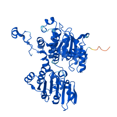 RCSB PDB - AF_AFU7Q208F1: Computed structure model of ...