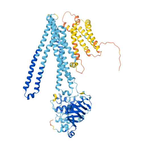 RCSB PDB - AF_AFX5CKB3F1: Computed structure model of TAP1