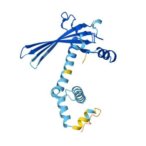 RCSB PDB - AF_AFX8F7D2F1: Computed structure model of Transposase DDE ...