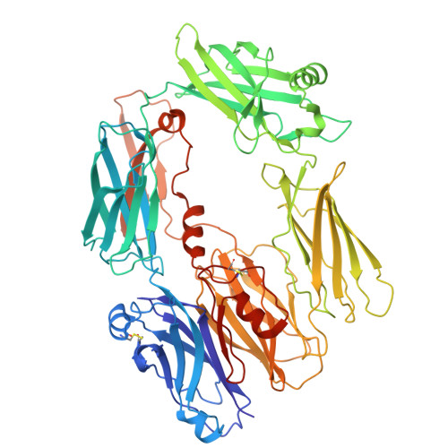 RCSB PDB - 7B2P: Cryo-EM structure of complement C4b in complex with ...