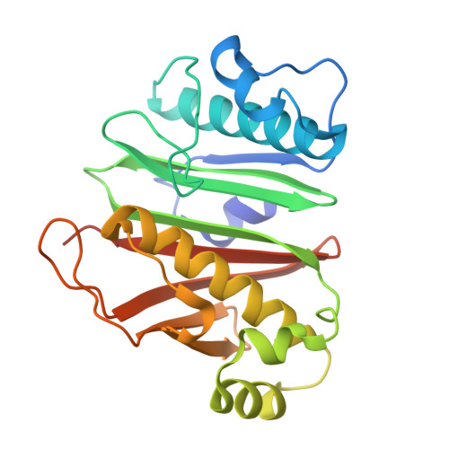 RCSB PDB - 7B4S: Structure of the 4'-phosphopantetheinyl transferase ...