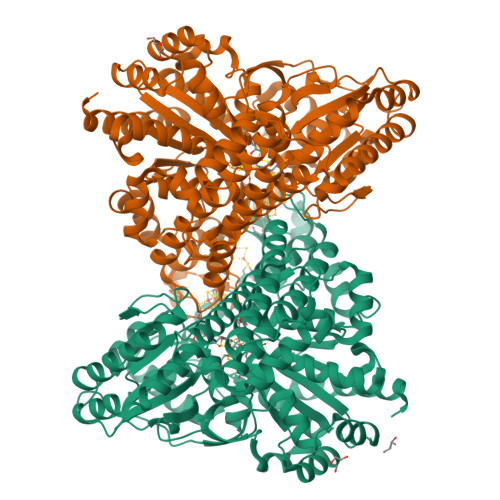 RCSB PDB - 7B7T: CooS-V with oxidized hybrid cluster