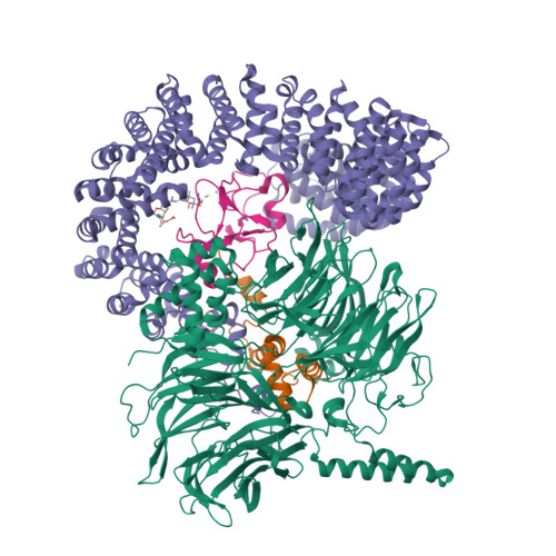 RCSB PDB - 7B9C: Structure of a minimal SF3B core in complex with ...