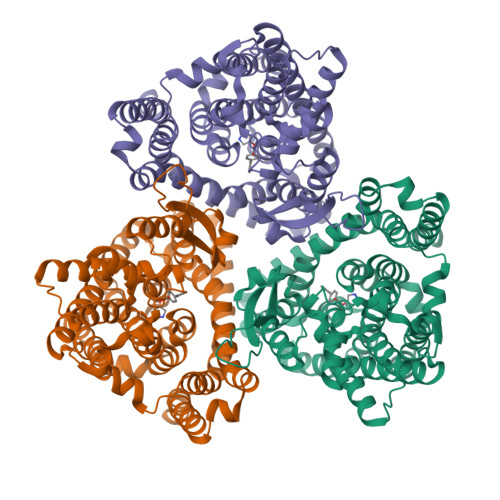 RCSB PDB - 7BCS: ASCT2 in the presence of the inhibitor Lc-BPE ...