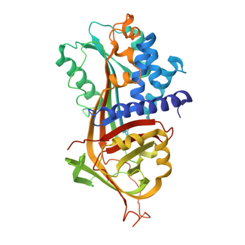 RCSB PDB - 7BDU: Crystal structure of a Hsp47-collagen peptide complex