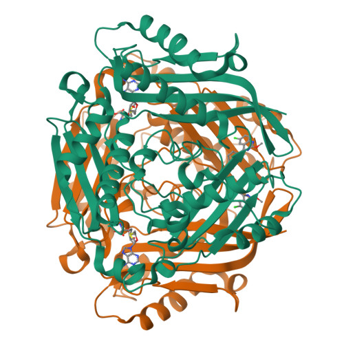 RCSB PDB - 7BHS: Crystal structure of MAT2a with quinazoline fragment 2 ...
